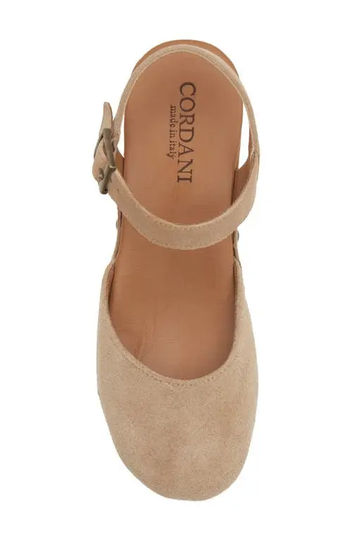 Cordani Winston Ankle Strap Platform Clog - Biscotto