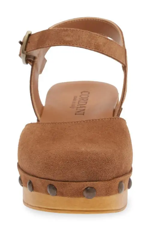 Cordani Winston Ankle Strap Platform Clog - Crosta Clove