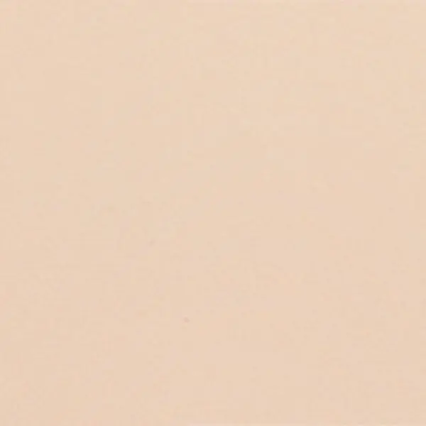 Fantasie Reflect Briefs - Beige