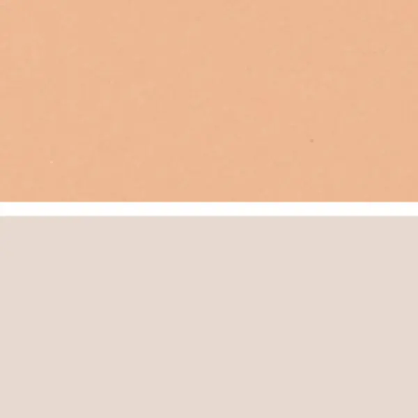 SENSAI Cellular Performance Total Finish Foundation Refill - Neutral