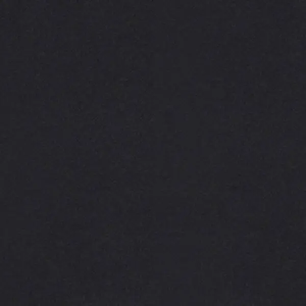 ALLSAINTS Organic Cotton Raven Sweatshirt