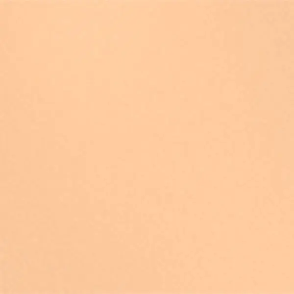 CHANTECAILLE Just Skin Tinted Moisturiser Spf 15 - Neutral
