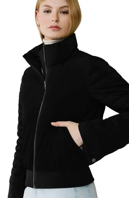 Soia & Kyo Isabella Water Repellent Down Puffer Coat - Black