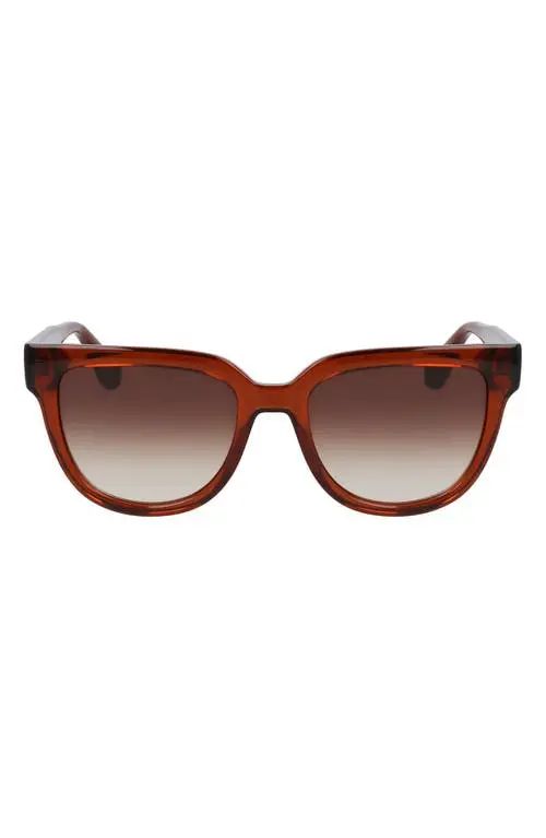 Longchamp Le Pliage Round Frame Sunglasses - Transparent Rust