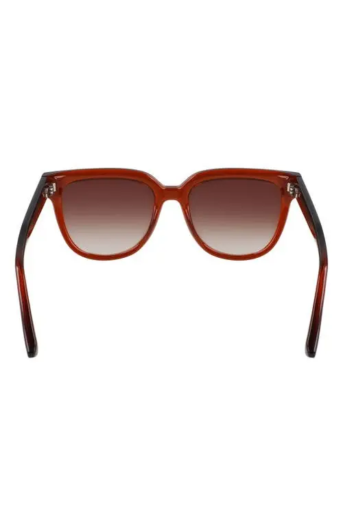 Longchamp Le Pliage Round Frame Sunglasses - Transparent Rust