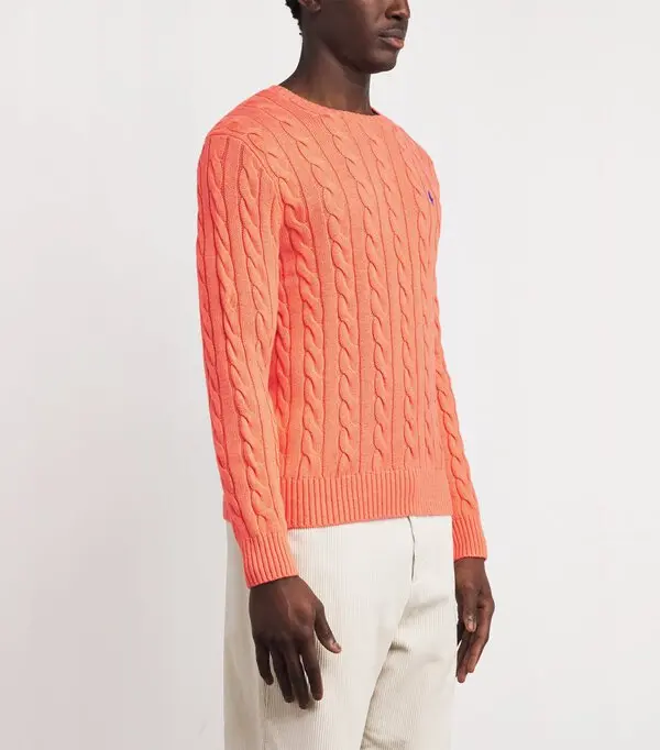 Polo Ralph Lauren Cotton Cable Knit Crew Neck Sweater