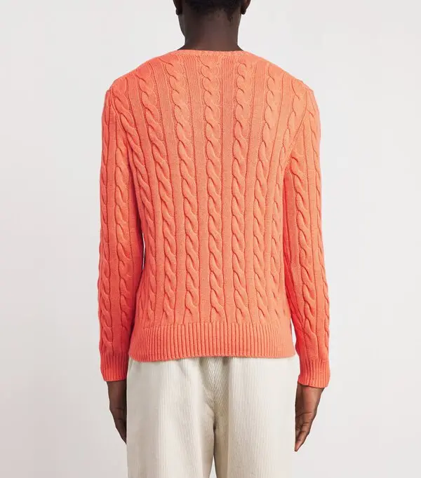 Polo Ralph Lauren Cotton Cable Knit Crew Neck Sweater