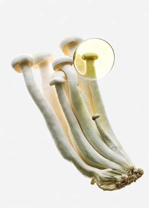 Loewe Elixir