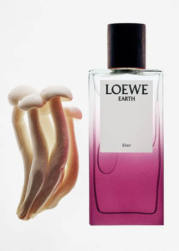 Loewe Elixir