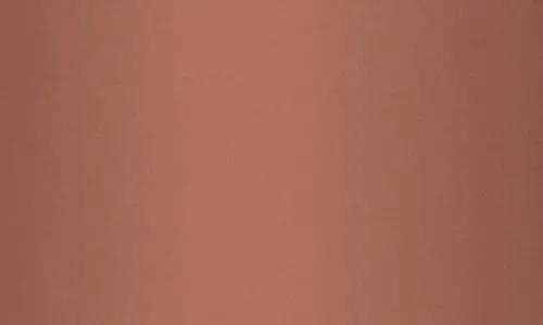 AGENT NATEUR Holi Dewy Tinted Skin Drops Spf 50