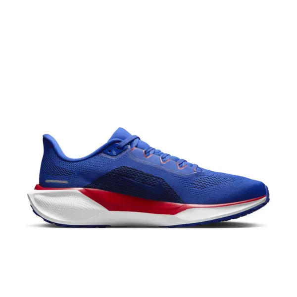 Nike Tennessee State Pegasus 41 College Road Running Shoes  display picture 1