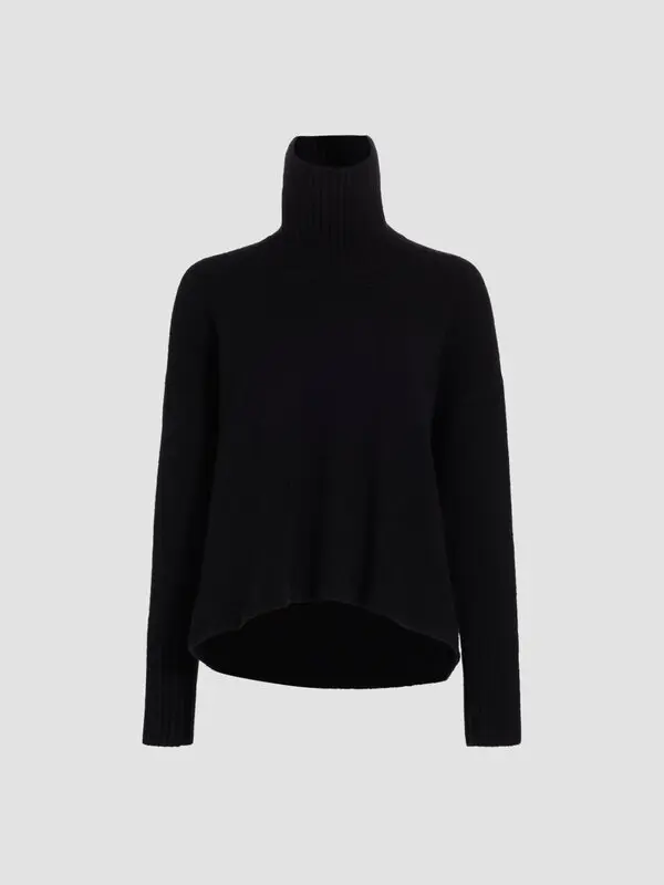 Proenza Schouler Sandra Turtleneck Sweater