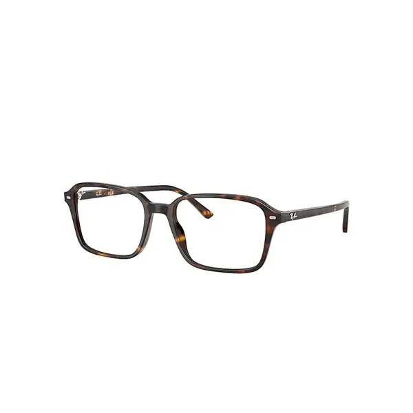 Ray-ban Raimond Optics Eyeglasses - Havana