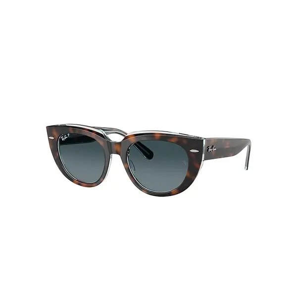 Ray-ban Doreen Sunglasses - Dark Havana On Transparent Multicolor