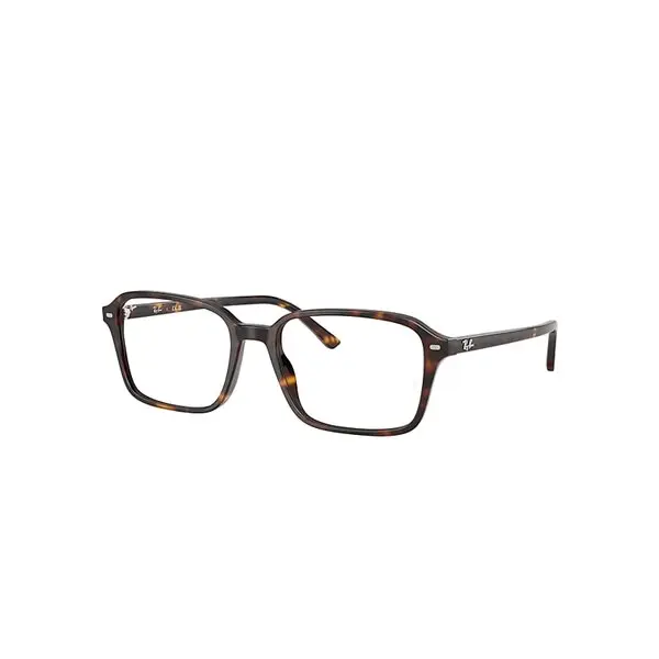 Ray-ban Raimond Optics Eyeglasses - Havana