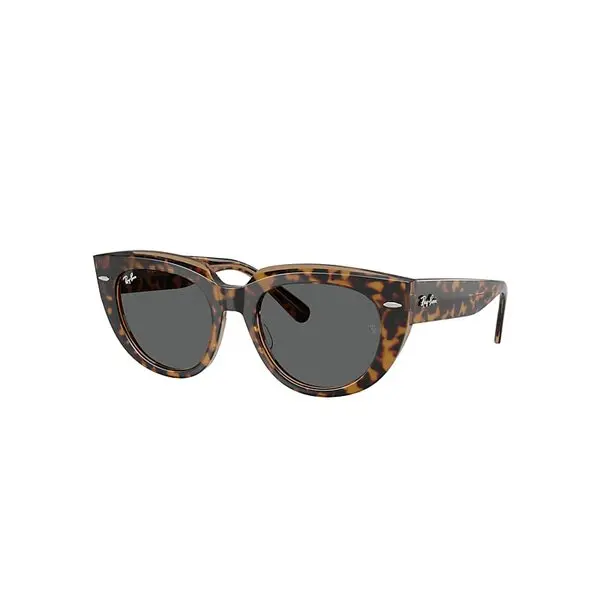 Ray-ban Doreen Sunglasses - Havana On Transparent Brown
