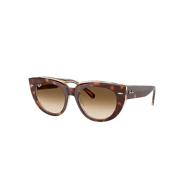 Ray-ban Doreen Sunglasses - Light Havana On Transparent Multicolor