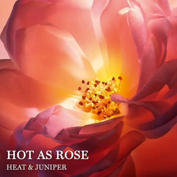 LANCOME Hot As Rose