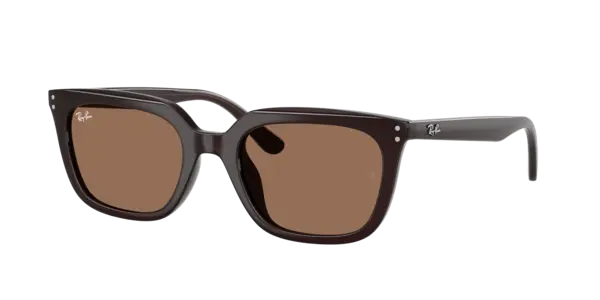 Ray-ban Sunglasses - Dark Brown