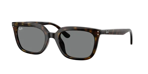Ray-ban Sunglasses - Dark Grey