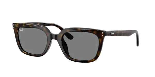 Ray-ban Sunglasses - Dark Grey