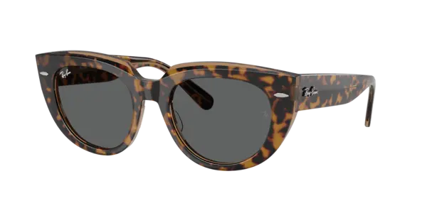 Ray-ban Sunglasses - Dark Grey