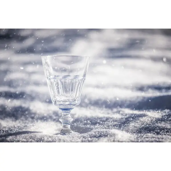 SAINT LOUIS Caton Wine Glass