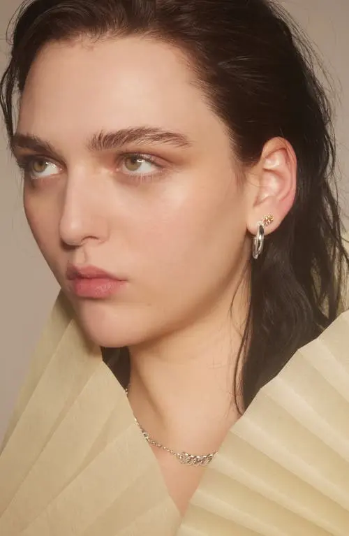 Lady Grey 14k Gold Hoop Earrings