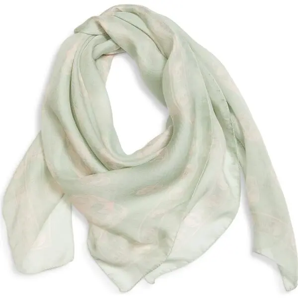 Alexander McQueen Skull Print Silk Scarf - Acqua