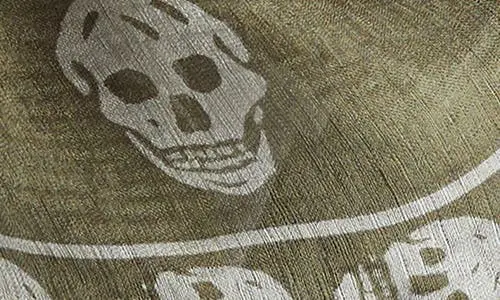 Alexander McQueen Skull Print Silk Scarf - Olive