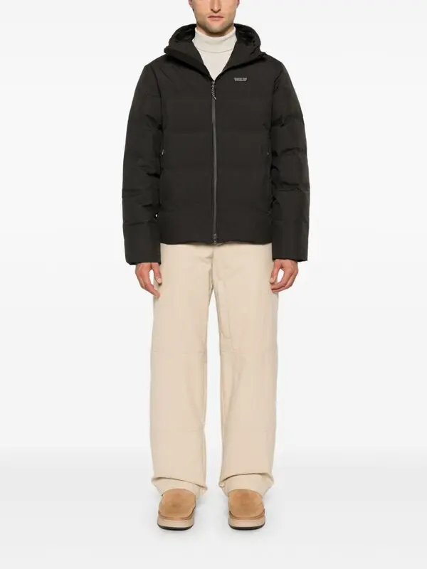 Patagonia Jackson Glacier Jacket