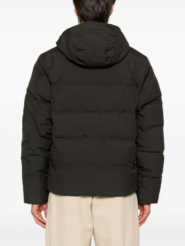 Patagonia Jackson Glacier Jacket