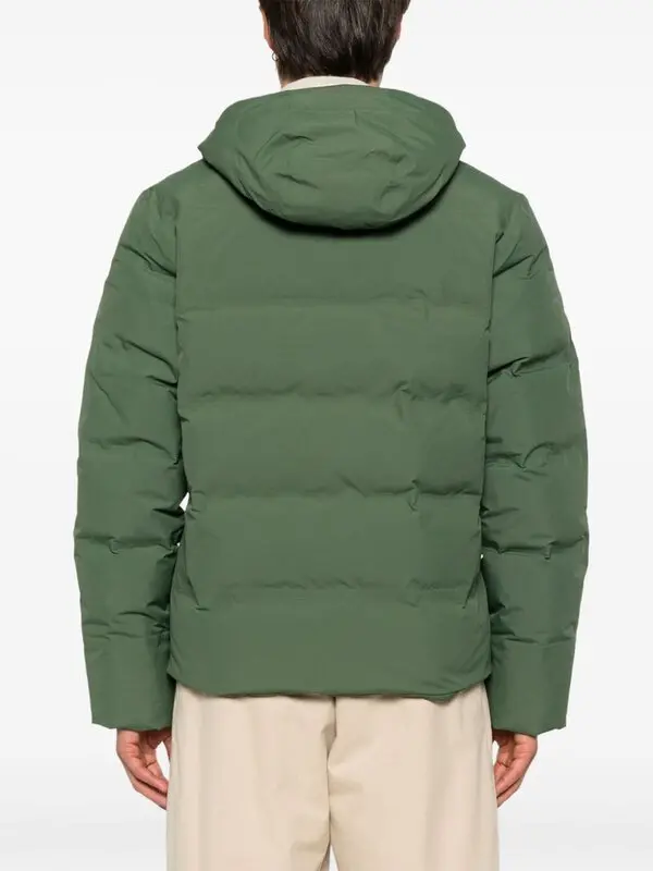 Patagonia Jackson Glacier Jacket - Green