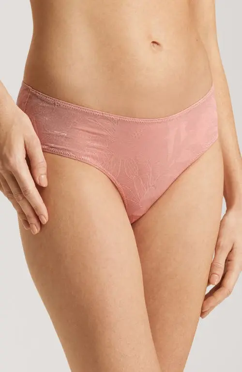 Hanro Tina High Cut Lace Briefs - Mocha Powder
