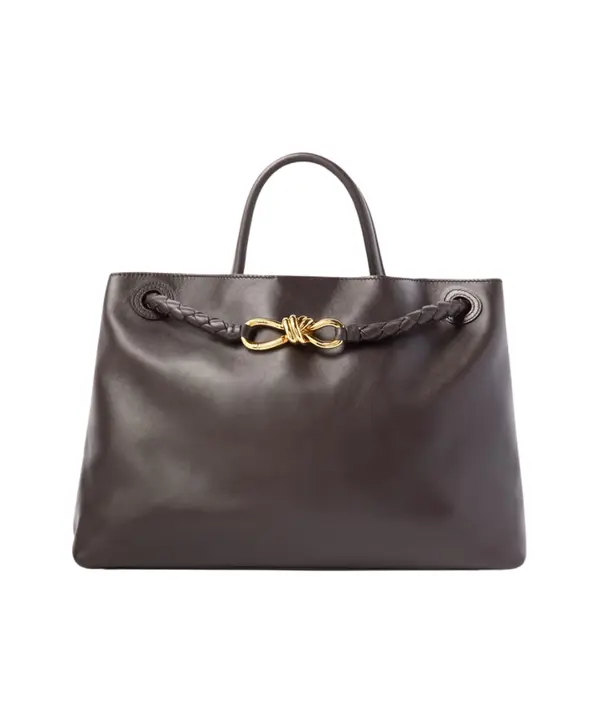 Bottega Veneta Andiamo Medium Leather Tote - Brown