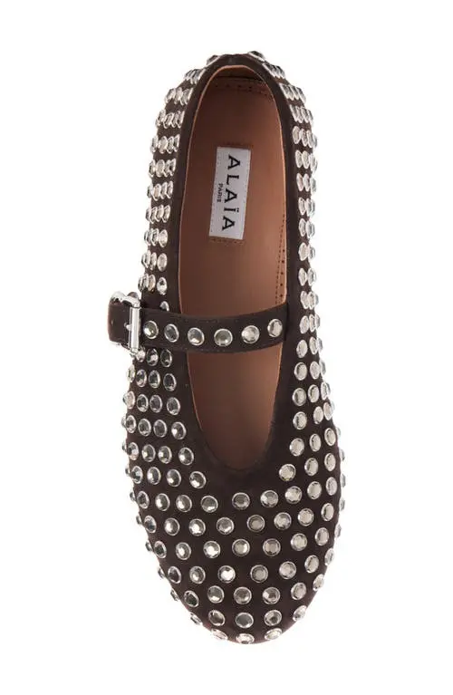Alaïa Crystal Mary Jane Ballet Flat - Brun Fonce