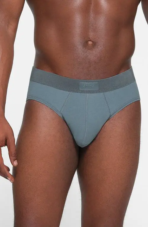 SKIMS Cotton & Modal Blend Briefs - Kyanite