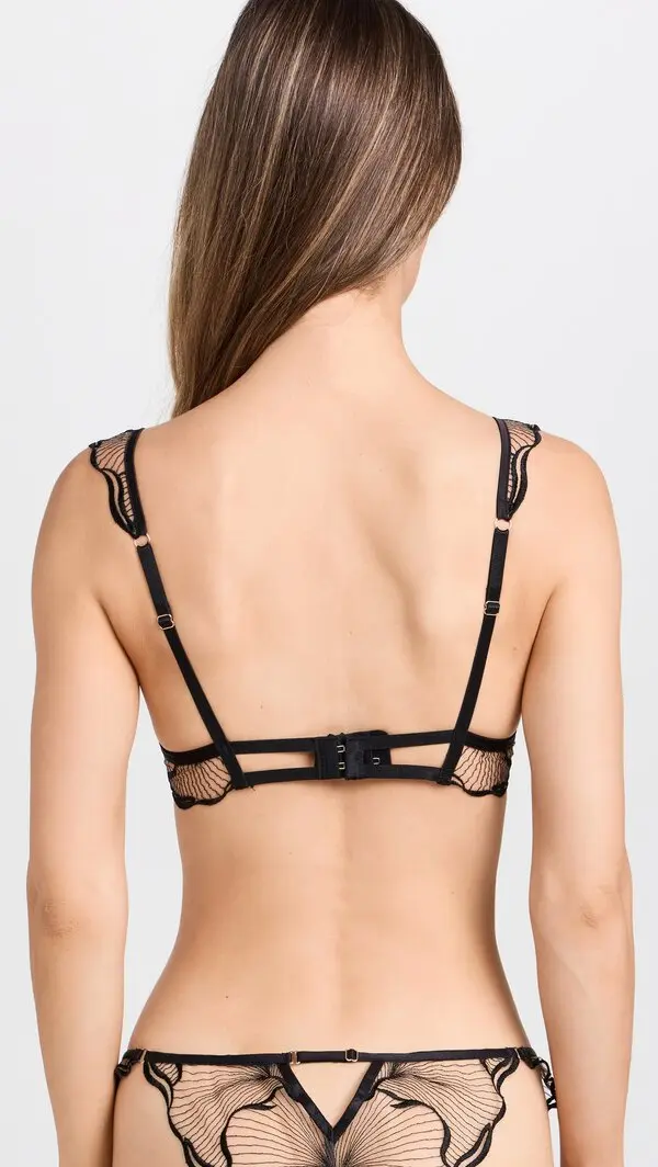 Bluebella Marabel Briefs