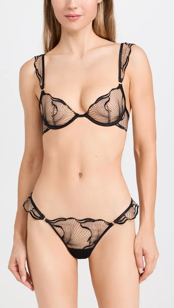 Bluebella Marabel Briefs