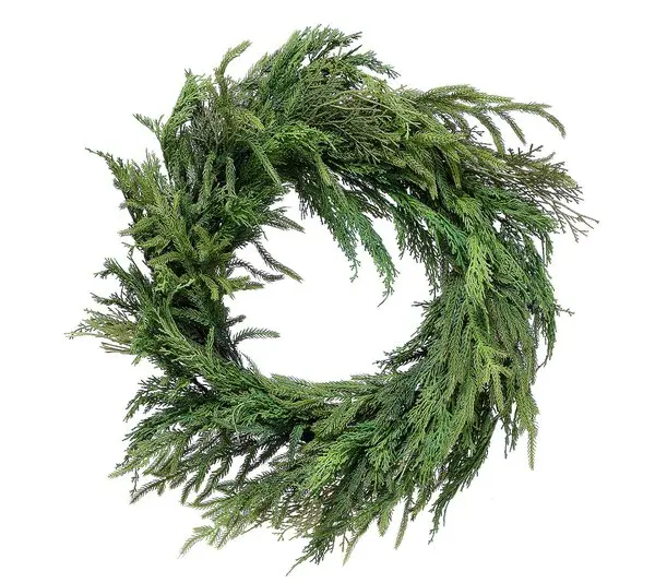 VALERIE PARR HILL 26' Cyprus Norfolk Pine Wreath Valerie - One-color