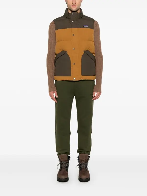 Patagonia Downdrift Gilet