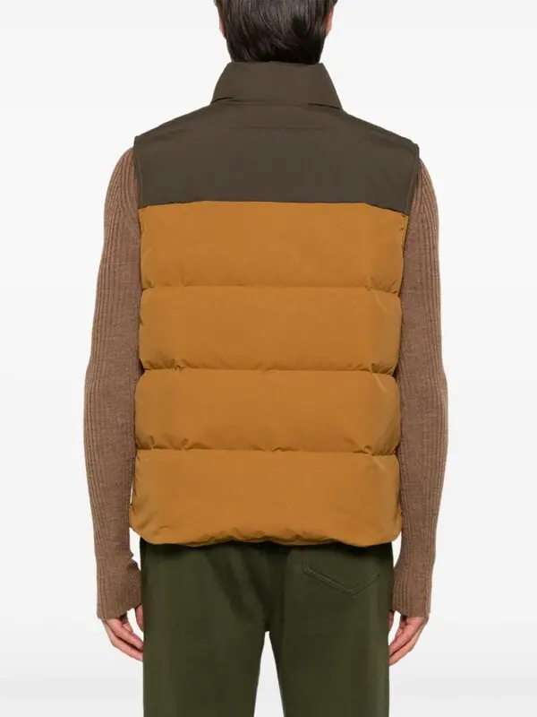 Patagonia Downdrift Gilet