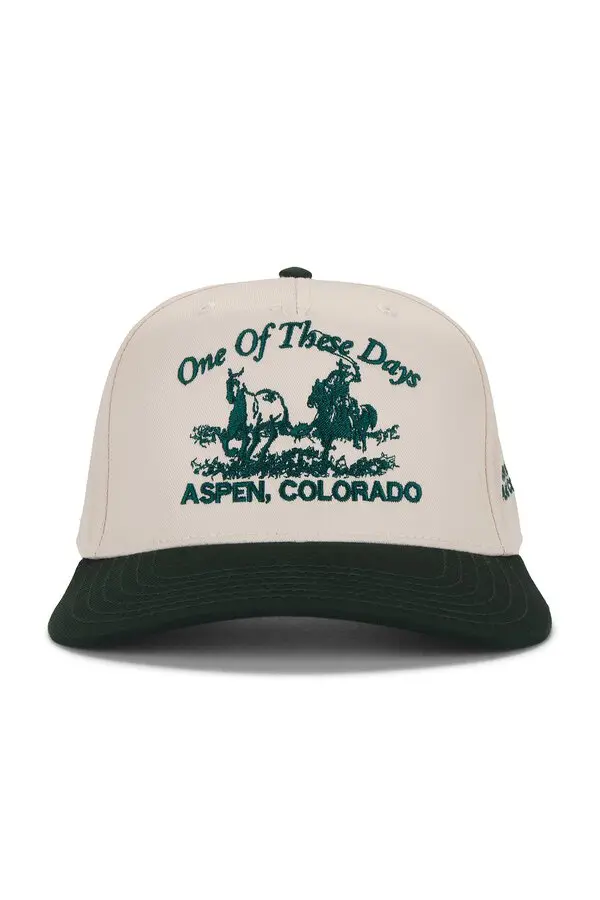 ONE OF THESE DAYS X Just For A Moment Cap - Tan & Forest Green