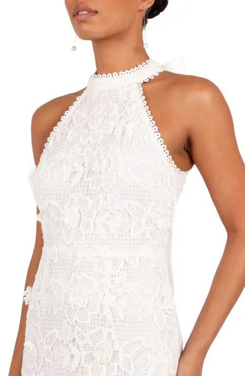 PETAL & PUP Adaln Lace Midi Dress
