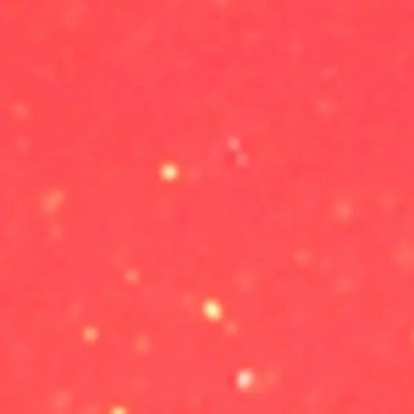 U BEAUTY The Plasma Lip Compound
