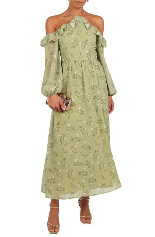 Petal & Pup Alina Floral Maxi Dress In Sage Botanica - 50% Off |  Editorialist