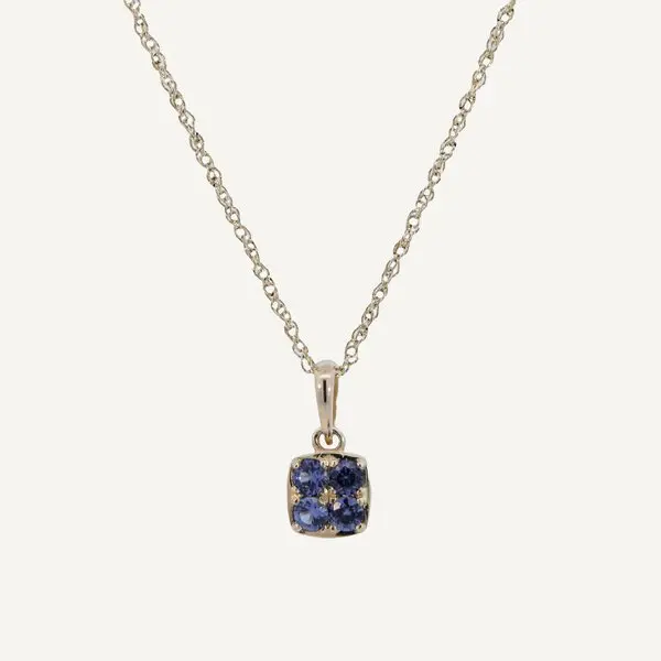 Olive Ave Jewelry Clove Necklace