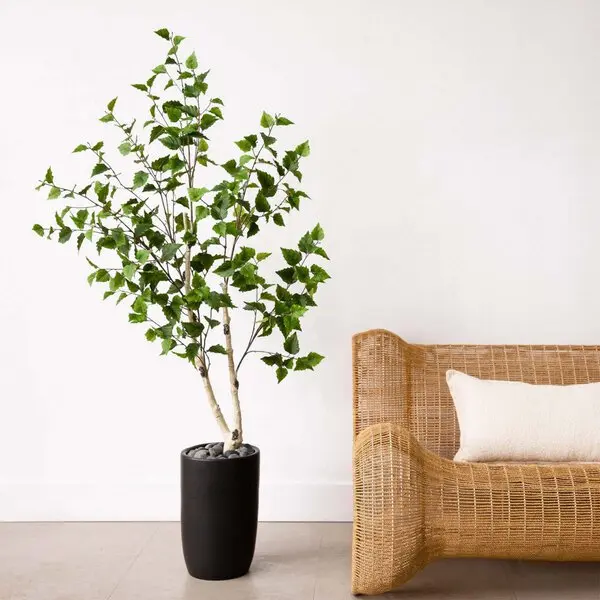 NEARLY NATURAL 5' Artificial Birch Tree With Real Touch Leaves