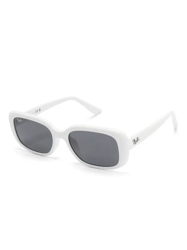 Ray-ban Oversized Sunglasses