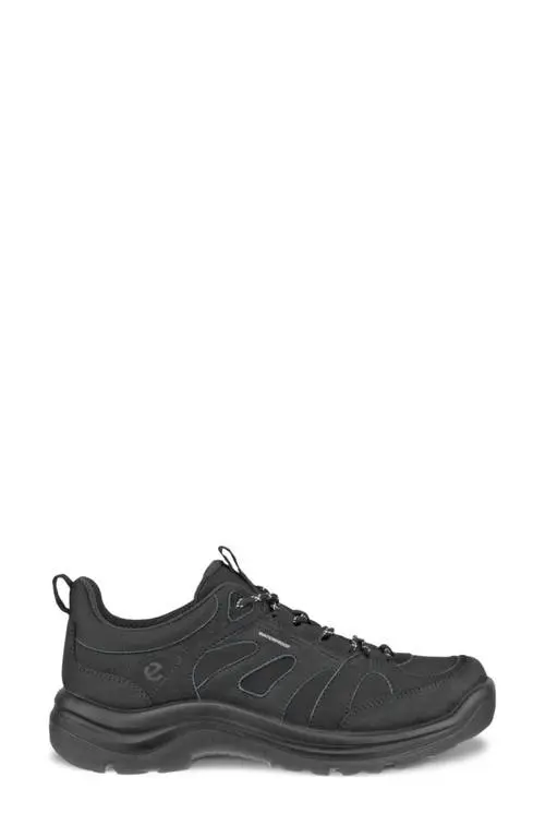 Ecco Offroad Hiking Sneakers